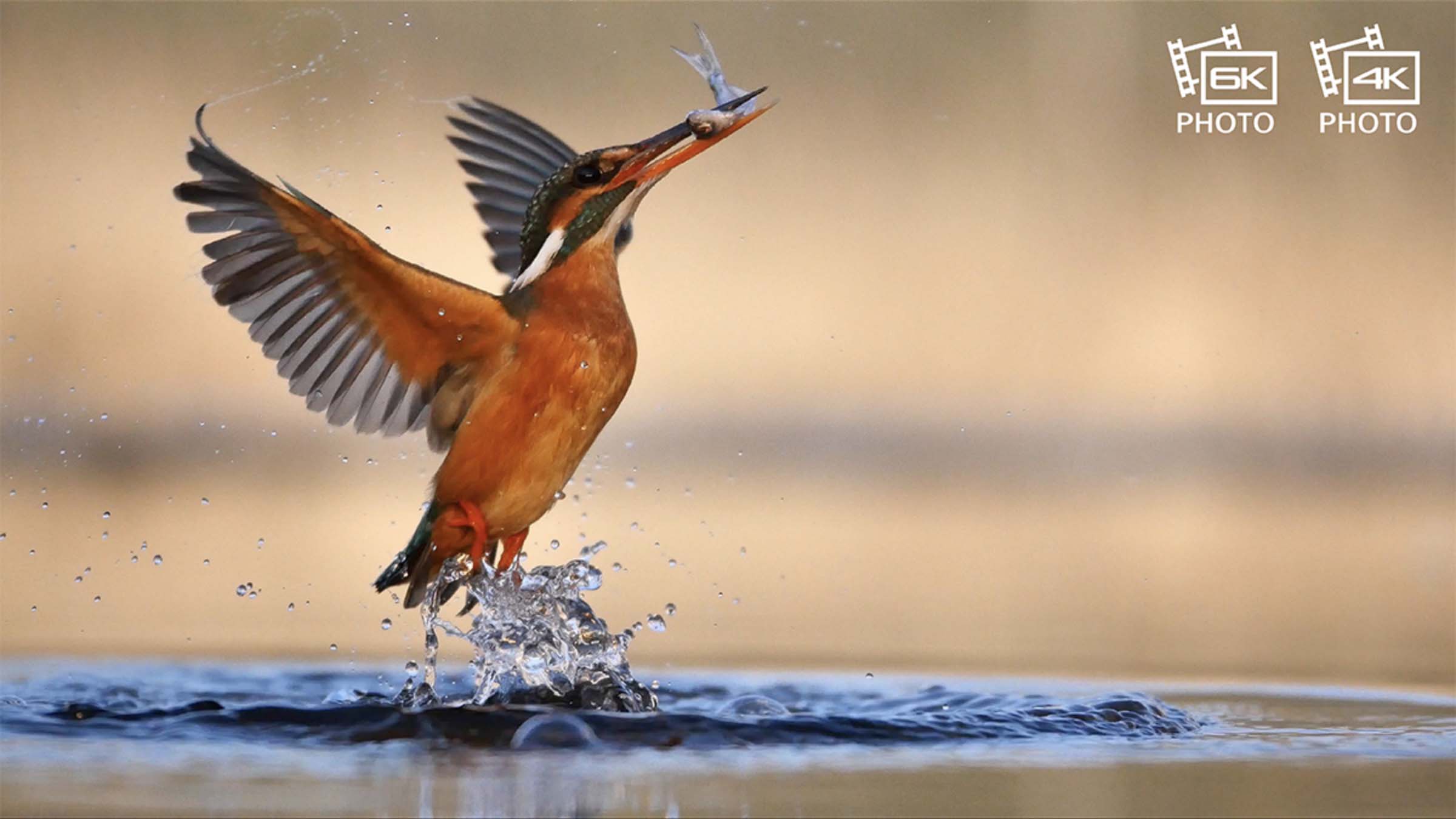 DPReviewTV: 4k and 6k Photo Modes Explained - 43addict