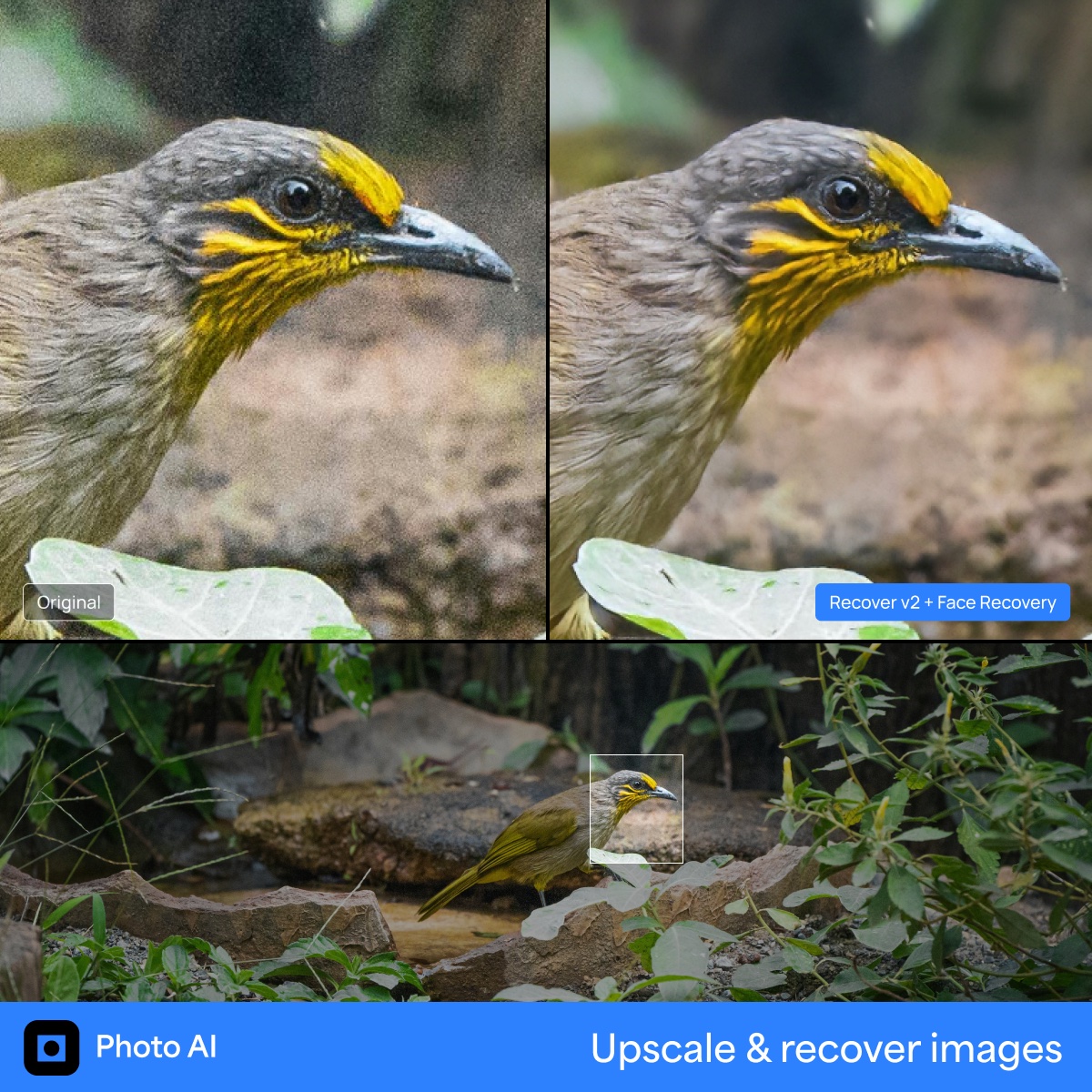 Topaz Labs Photo AI version 4 released with a $30 promo discount - 43addict